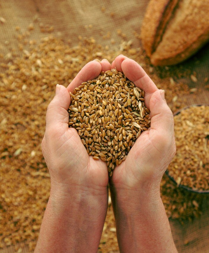 Cleaned Whole Wheat | Tekirdağ Flour Mills